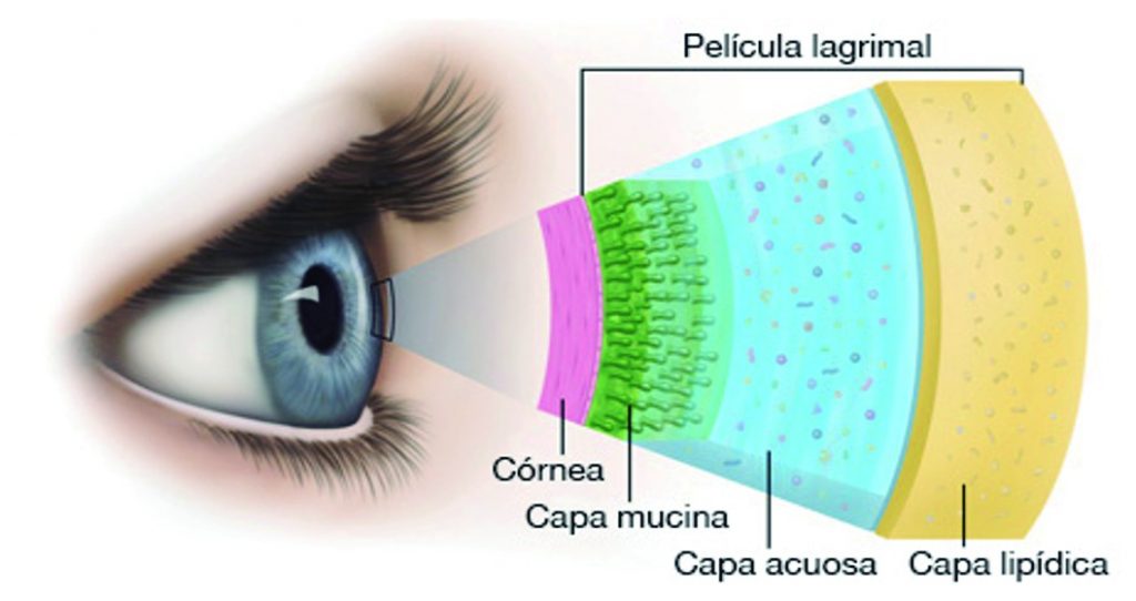 OJO SECO – Hospital del Ojo
